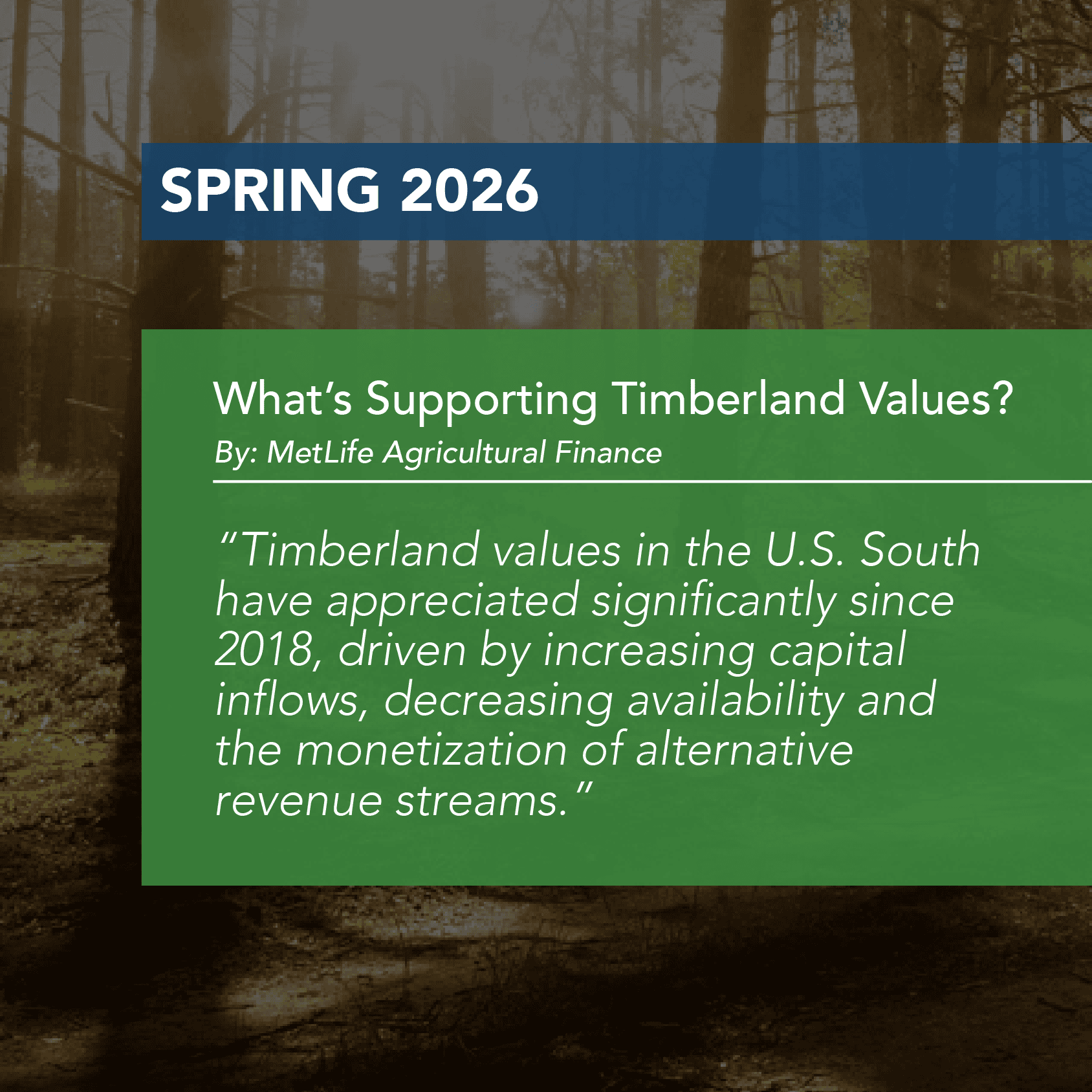What’s Supporting Timberland Values? | Forest Resource Consultants, Inc.